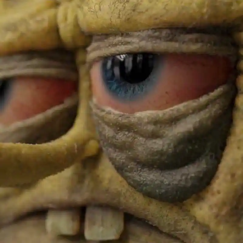 Warzone Top Streamers | Discover their Loadouts | WZStats.GG