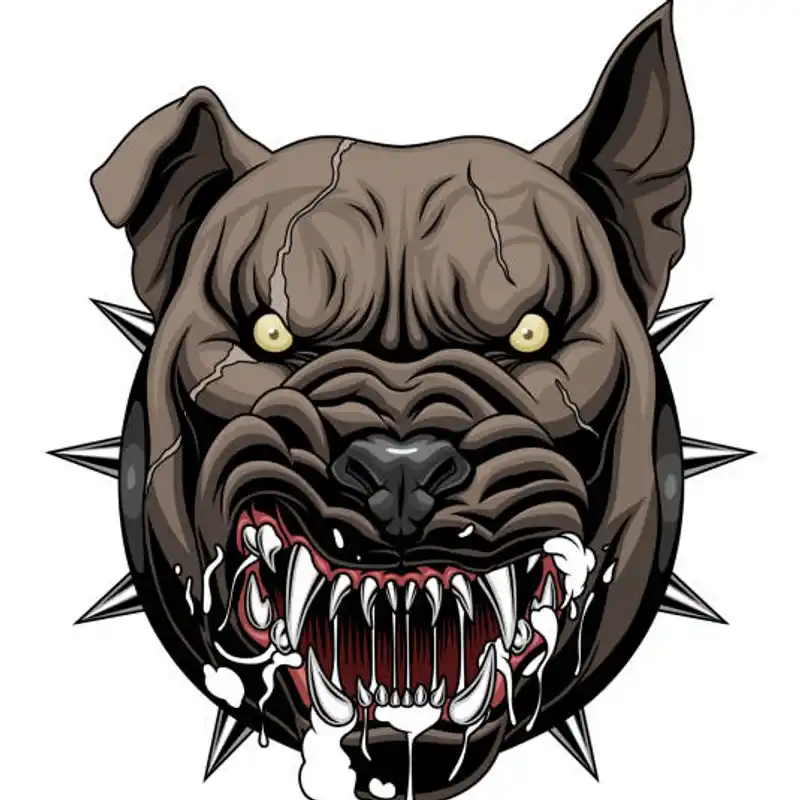 Warzone Top Streamers | Discover their Loadouts | WZStats.GG