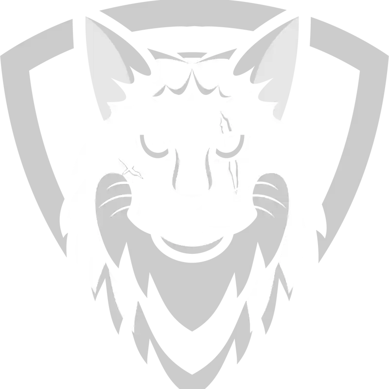 Warzone Top Streamers | Discover their Loadouts | WZStats.GG